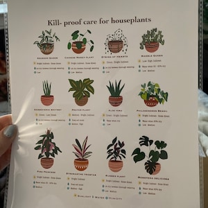 House Plant Art, Bohemian Poster, Wall Decor, Potted Plants, Indoor ...