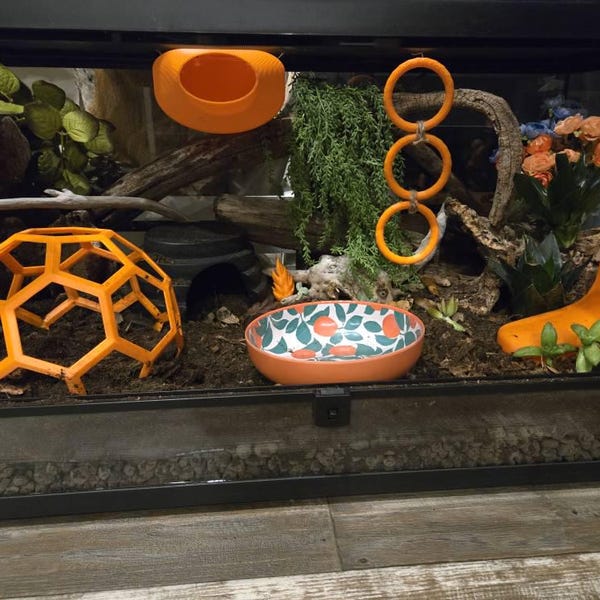 3D Printed Ladybug Sandbox Toy: STL File for Kids Play - Etsy