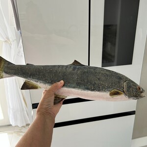 Ceramic Fish, Snapper - Etsy