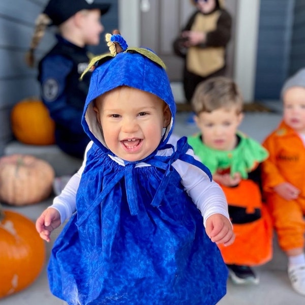 Blueberry Costume/blueberry Baby Costume/blueberry Baby Set/blueberry ...