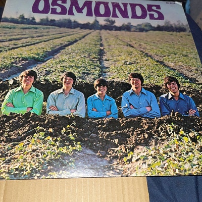 Flyded Sprayer 1930's Insect Sprayer - Etsy