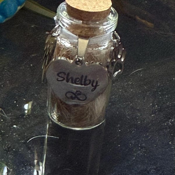 Personalized Mini Urn, Dog Memorial Urn, Custom Ash Keeper, Cremation ...