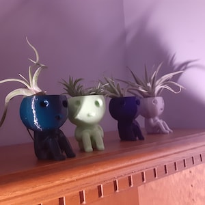 Sitting Kodama Planter Pot for Succulents, Air Plants Other Plants Tree ...