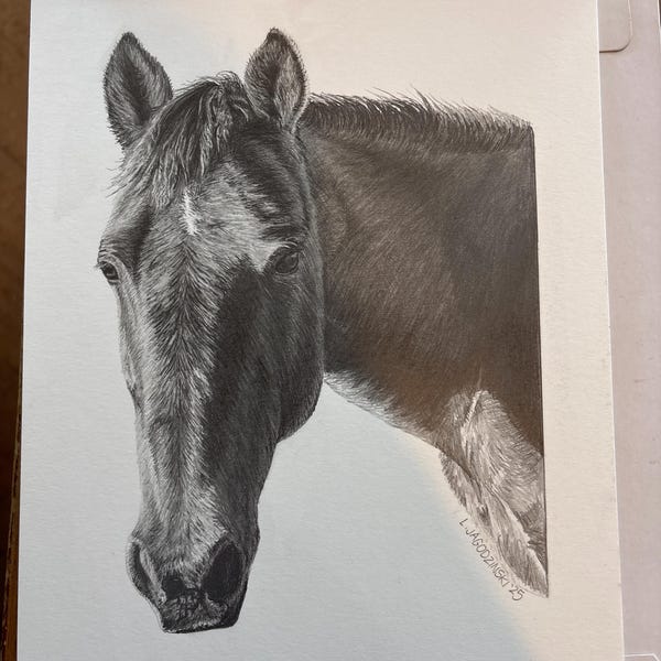 100% Hand Drawn Custom Horse Portraits From Your Photos, Multi Horse ...