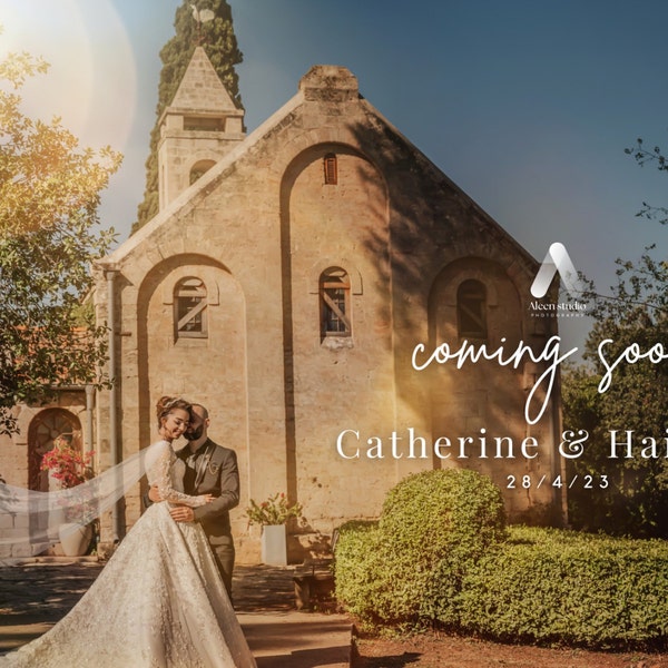 80 Wedding Veil Overlays, Wedding Dress Overlays, Flying Fabric Overlay ...