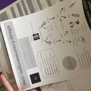 Vet Med Acronym Suffix Prefix Veterinary Cheat Sheet Vet Tech Notes ...