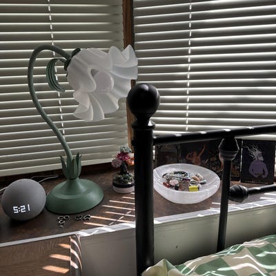 Buy Forest Tales Oracle Deck Moon Witch Series Online in India - Etsy