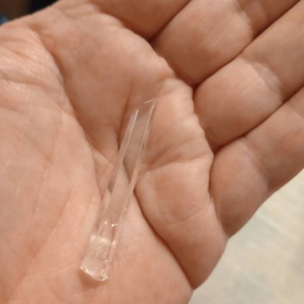 Dinosaur Fossil Tooth Pendant Mosasaurus Tooth Pendant Fossil Tooth ...