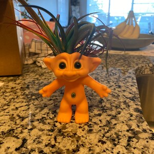 4 Troll Doll With 1-live Rainbow Colored Air Plant | Etsy