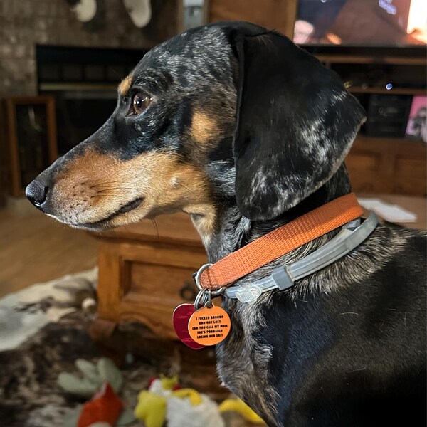 Ugly Crying Dog Tag for Collar - Custom Dog Tag - Personalized Cat ID ...