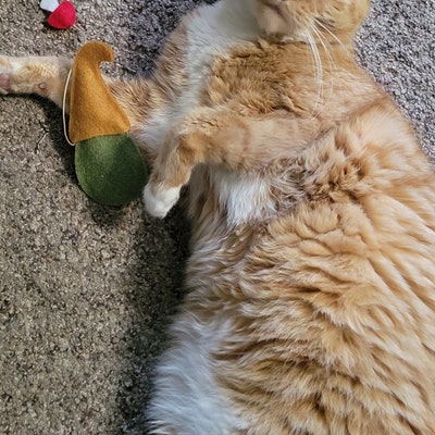 Rudolph Catnip Cat Toy With Bells, Reindeer Catnip Toy, Christmas Cat ...