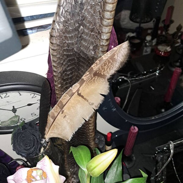 Set of Banded Flint Stones #3, 125g Striped Rough Stone Natural Flint ...