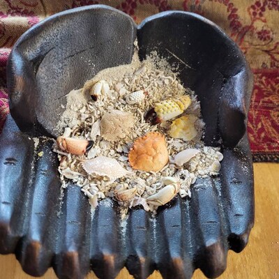 TRANSLUCENT JINGLE SEASHELLS 10-50pcs Coastal Beach Cottage Decor Craft ...