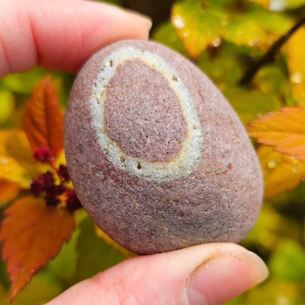 Rare Wishing Stone, Natural Wishing Stone, Welsh Wish Stone, Bladder ...