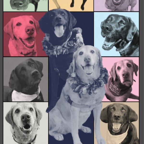 Customizable Eras Sweatshirt, Eras Tour Gift for Dog Mom, Crewneck Fan ...