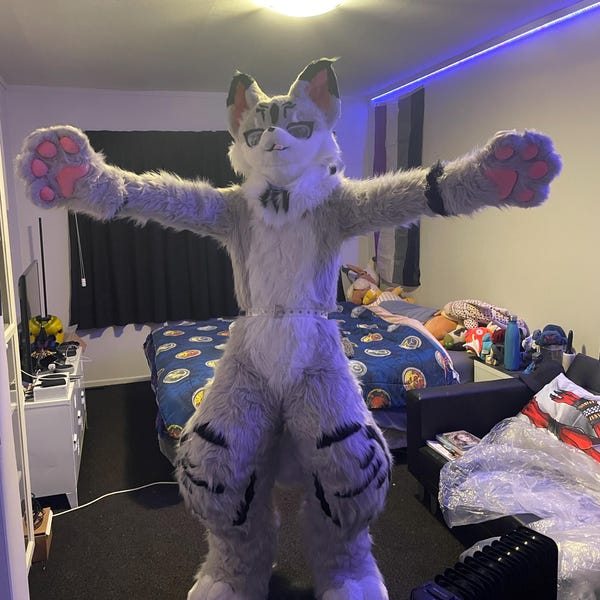 Fursuit, Custom Fursona, Full Personalized Fursuit Maker, Faux Fur, Kemono Commission, Persona ...