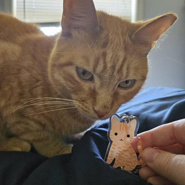 Orange Tabby American Bobtail Cat Waterproof Vinyl Sticker | Kawaii ...