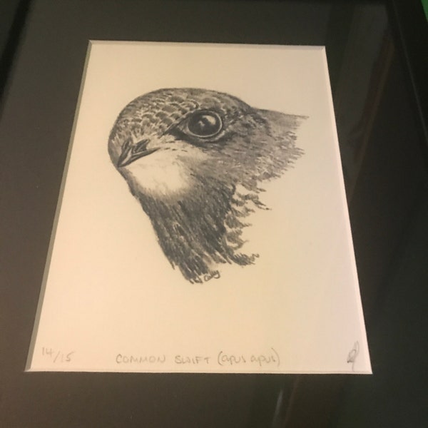 Sleepy Badger | Wood Slice | Hand Painted | Woodland Wildlife ...