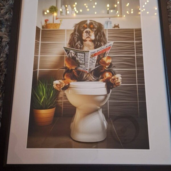 Brown Cockapoo on the Loo, Funny Toilet Humour Dog Print - Etsy