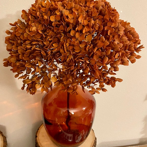 Burnt Orange Preserved Hydrangeas | Dried Hydrangea | Orange Flower ...