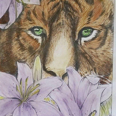 Colour My Dreams 1 PDF Book 35 Images - Etsy