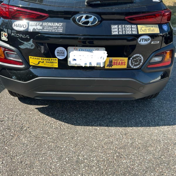 Wizard Bumper Sticker Funny, Cute Car Sticker Decals, Cursed Bumper ...