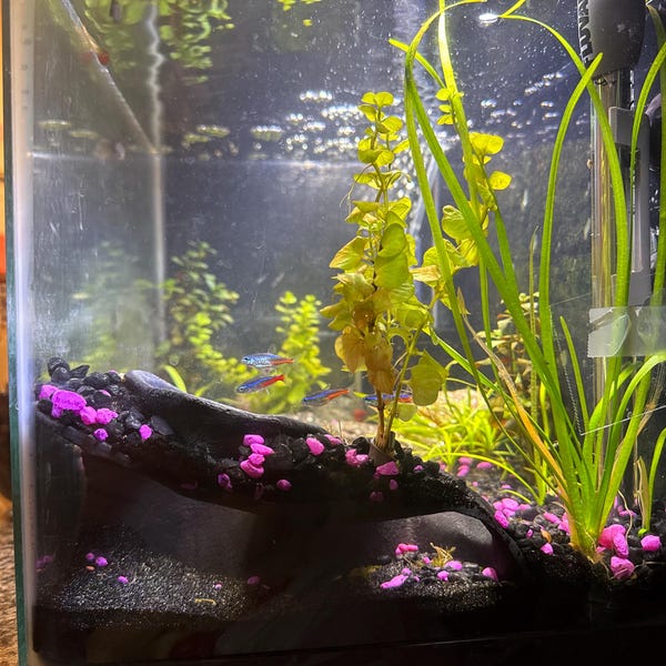 Corner Aquarium Terrarium Cave Hideout – Decorative Shelter for Fish ...