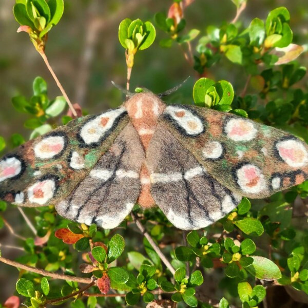 Needle Felted, Felt Brooch, Moth, Peach Blossom, Insect Brooches, Felt ...