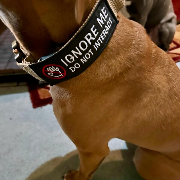 Embroidered 2"x6" Patch for Working Dogs With "don't Touch" Sign and ...