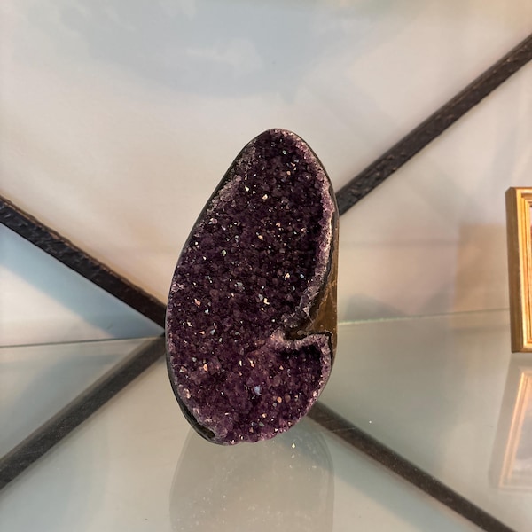 Flash Sale!!** Mosasaur Teeth Fossil Specimen in Matrix Mosasaur Jaw ...