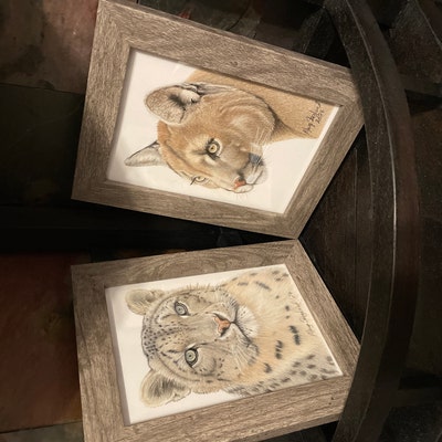 Eastern Spine-bill Bird, Original Coloured Pencil Art, 9x12 Inch Wall ...