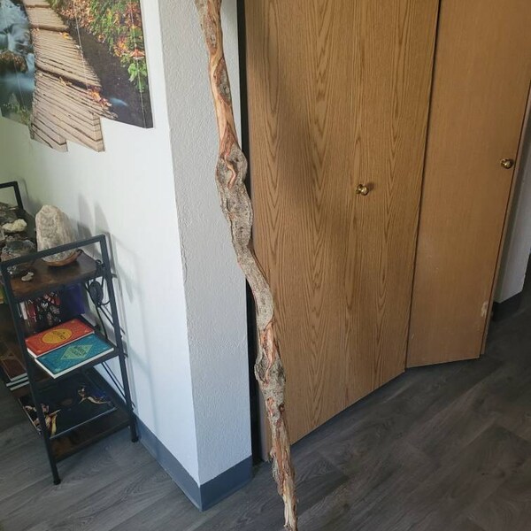65 Diamond Willow AMAZING Staff Wood CARVING, Walking Stick ...