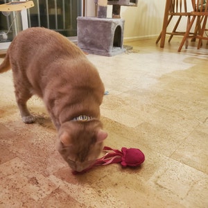 Cat Teaser Wand Cat Toy Star Cat Toys Wand Cute Cat Toys | Etsy