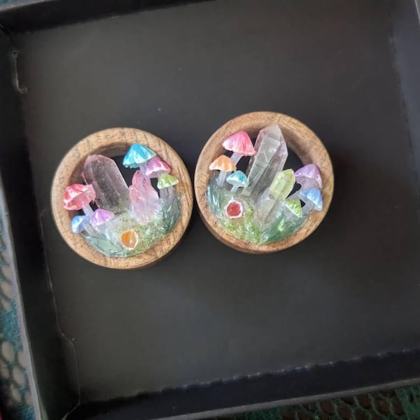 Mushroom Plugs. Amanita Plugs. Aura Quartz Plugs. Rainbow Plugs 9/16 ...