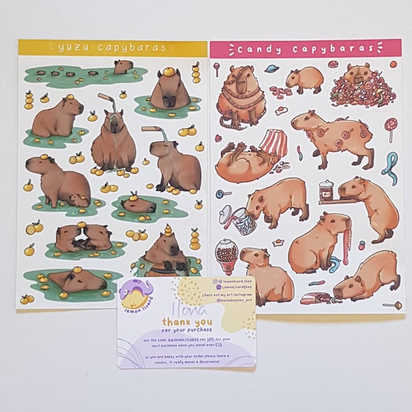 Candy Capybara Sticker Sheet | Sweets Capybara Stickers - Etsy