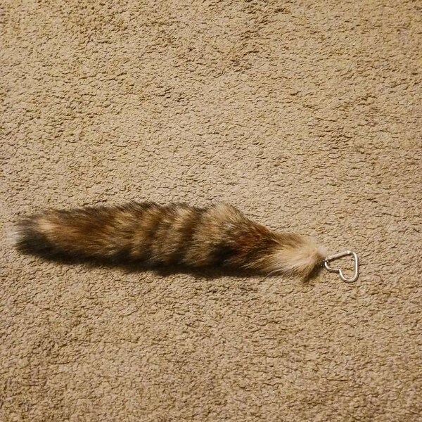 Real 13"-14" Red Fox Fur Tail Totem Keychain Key Ring Key Fob for Purse ...