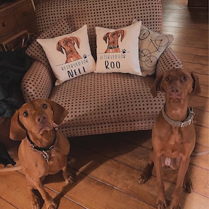 Cavapoo Cushion Dog Cushion Dog Related Gift Reserved | Etsy UK