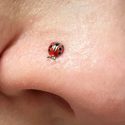 316L Surgical Steel or Gold Plated, Nose Ring, Stud, Screw, L Bend or ...