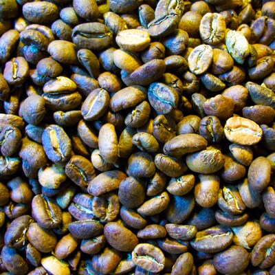 8 Pounds Green Coffee Beans Sample Pack Ultimate Sample Package 1 Pound ...