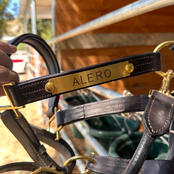 HALTER PLATE XLARGE .032" Solid Brass or .020" Nickel Silver Custom ...