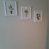 Botanical Print Set, Living Room Wall Art, Home Decor Gift, Houseplant ...