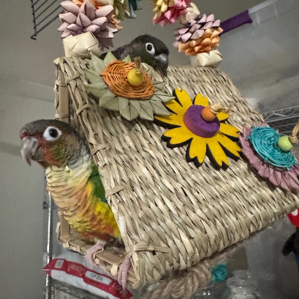 Botanical Bliss Seagrass Foraging Tray - Rose Blossom - Foraging Tray ...