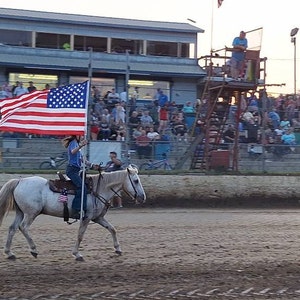 Alien & UFO Spaceship Yard Stake, Custom Metal Alien Garden Yard Art ...