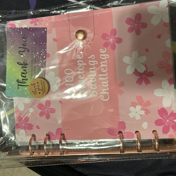 100 Envelope Challenge Clear Transparent Binder Saving Money Funds to ...