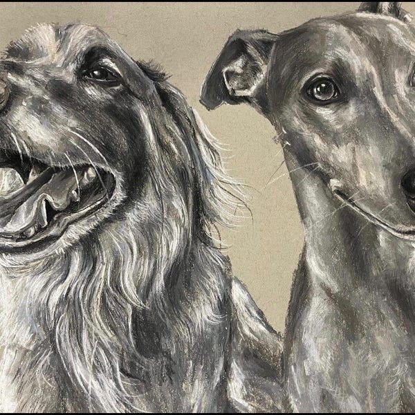 Pet Portrait Drawing/charcoal Pet Drawing/custom Portrait/charcoal Dog ...