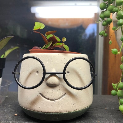 Small Face Pot With Eye Glasses Head Planter Nerd Head Pot Genius ...