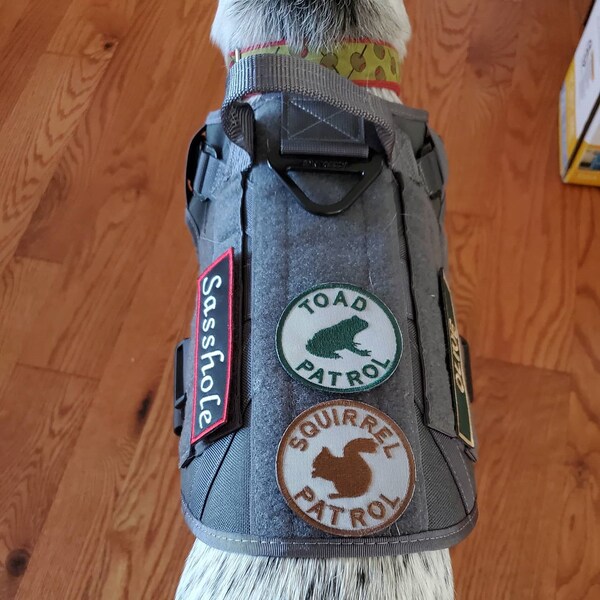 Squirrel Patrol Embroidered Patch With Hook and Loop Fastener Available ...