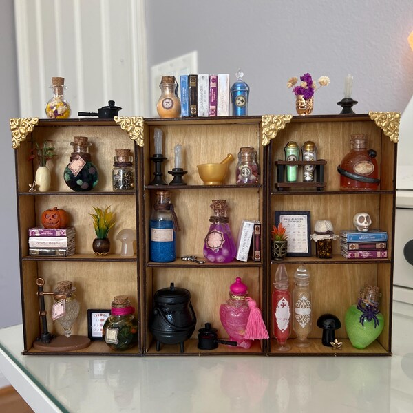DIY KIT | Miniature Fairy Witch Bookshelf Kit | DIY Miniature Bookshelf | Dollhouse Miniatures ...
