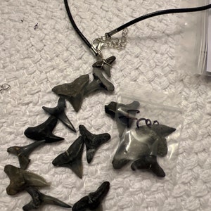 Make Yer Own Shark Art Kit Reef Shark 8x10 - Etsy