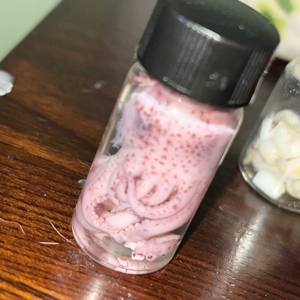 Real Cute PINK Cuttlefish in a Jar, Wet Specimen, Squid, Tentacles ...